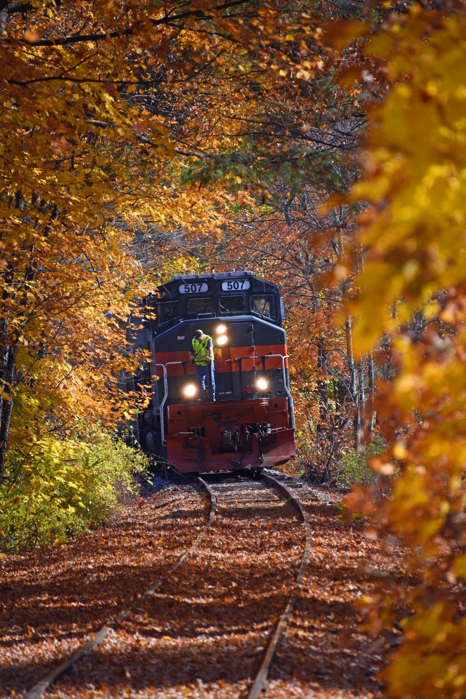 Tunnel Of Trees: The NERAIL New England Railroad Photo Archive