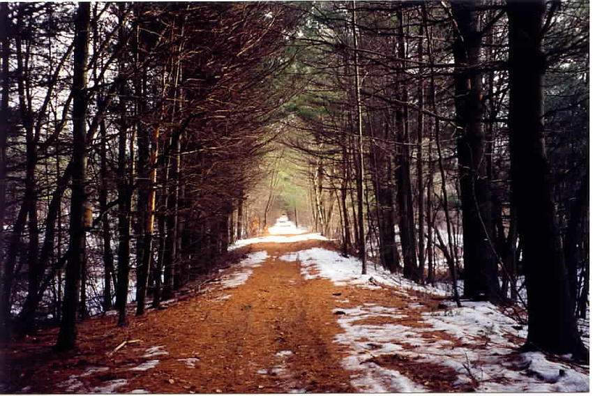 Along the Goboro Road in Epsom: The NERAIL New England Railroad Photo ...