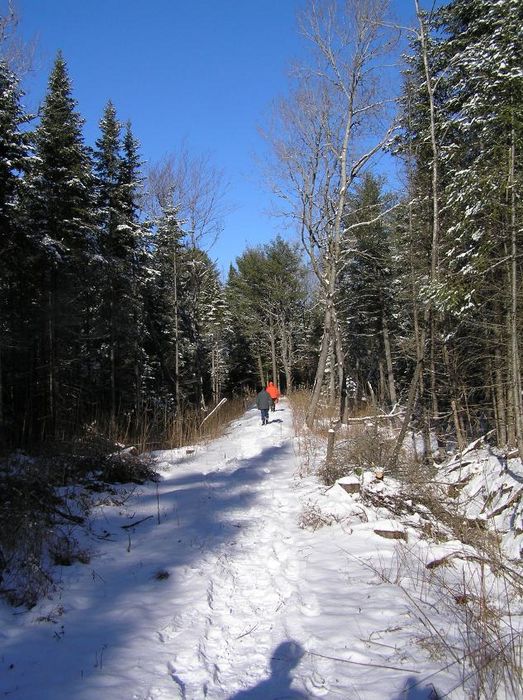 Approaching the ROW: The NERAIL New England Railroad Photo Archive