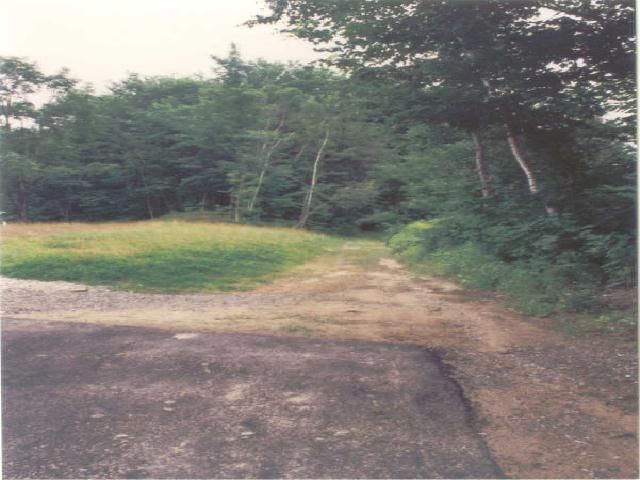 Photo of ROW behind store where Harrison branch crosses rte 302: The ...