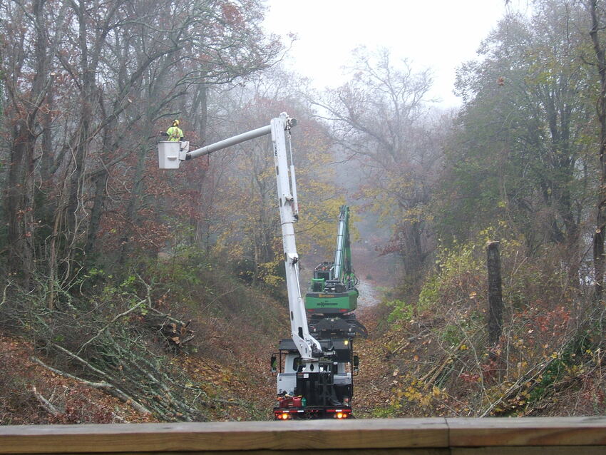 Falmouth Secondary RR line clearing moving along: The NERAIL New ...
